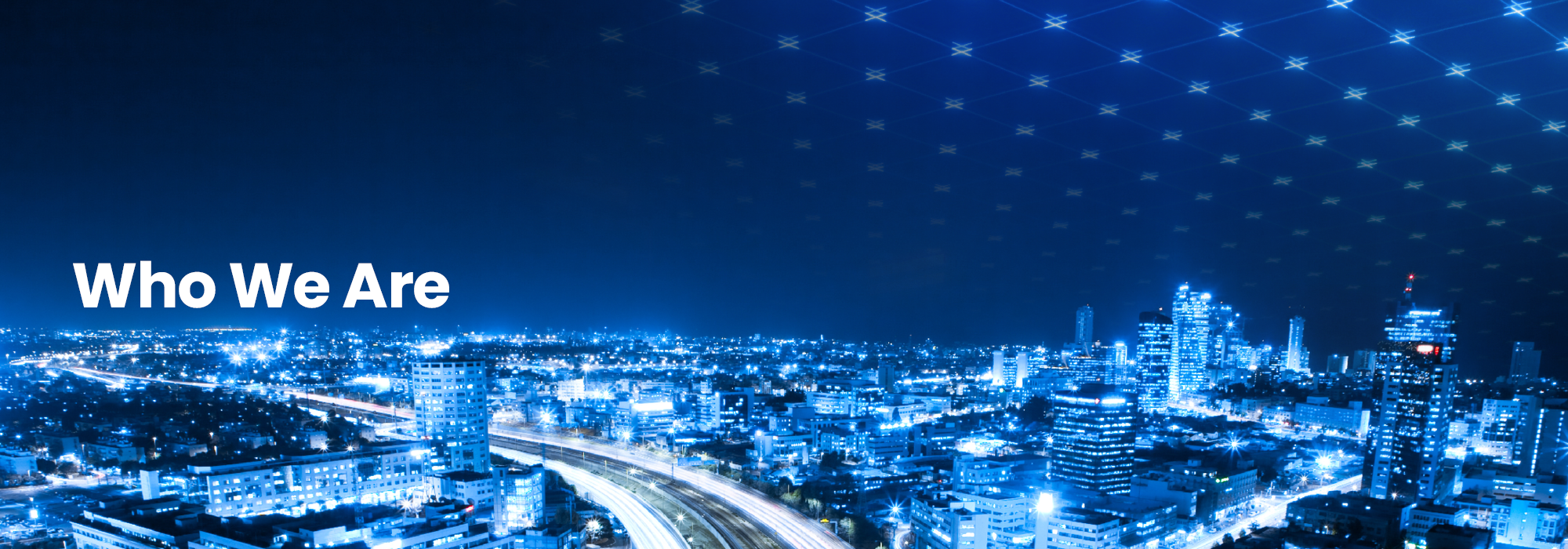 Israel Electric Global - About us